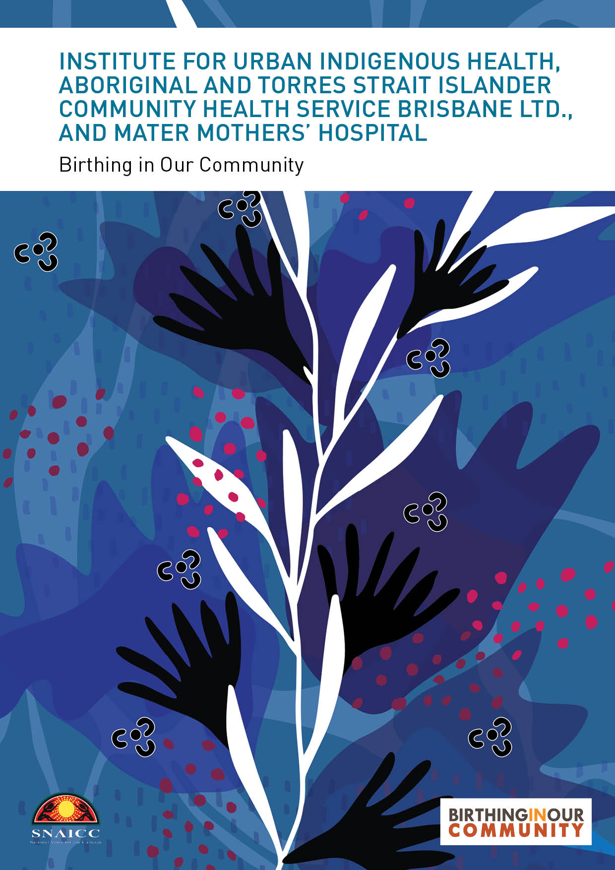 IUIH, ATSICHS & Mater Mothers' Hospital – Birthing in Our Community ...